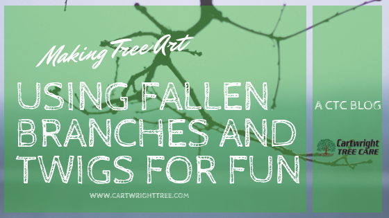 Make Tree Art | How to Use Fallen Branches and Twigs for Fun