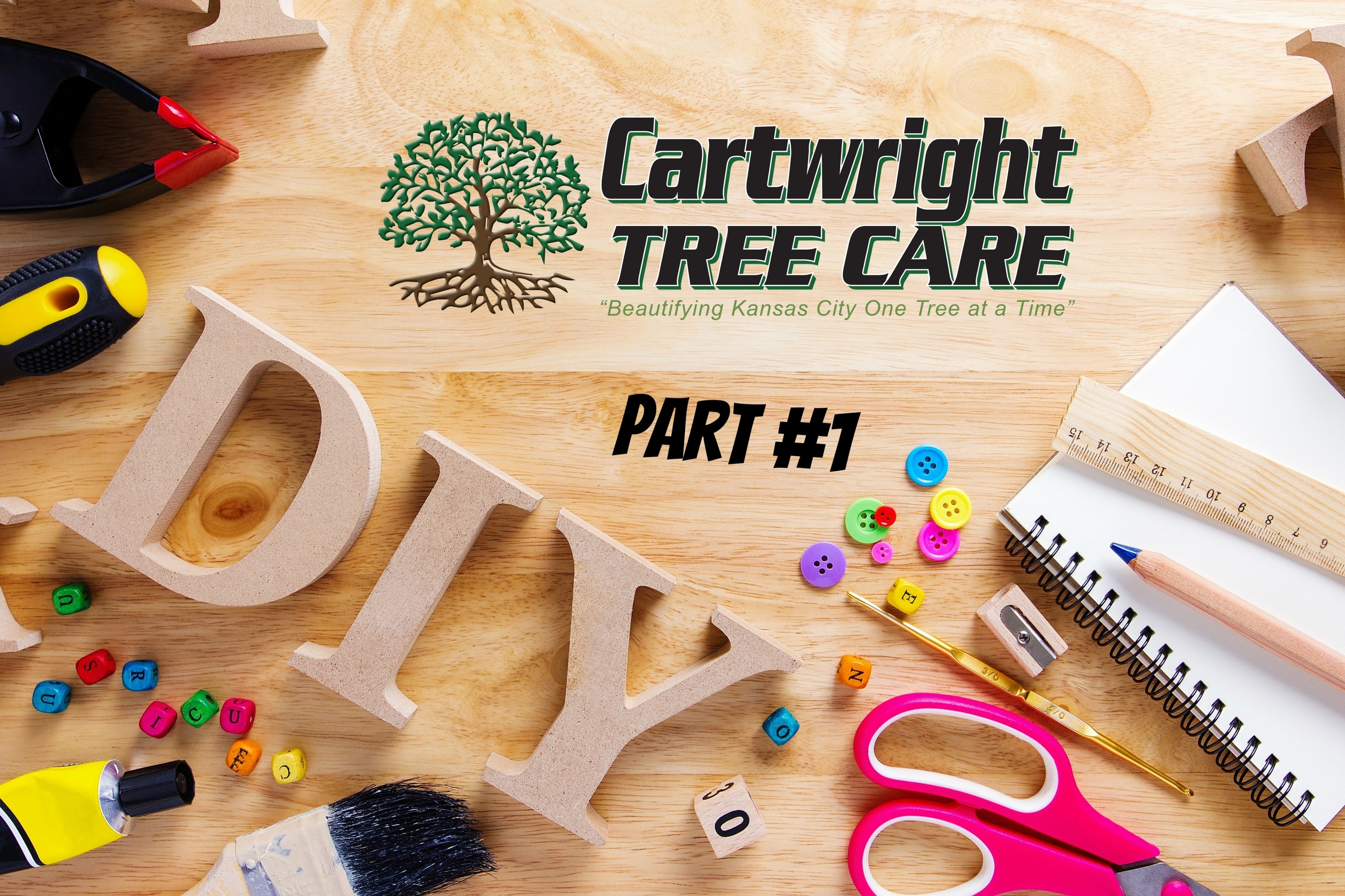 9 Phenomenal Ways To Re-Use Trees In Kansas City - Part #1