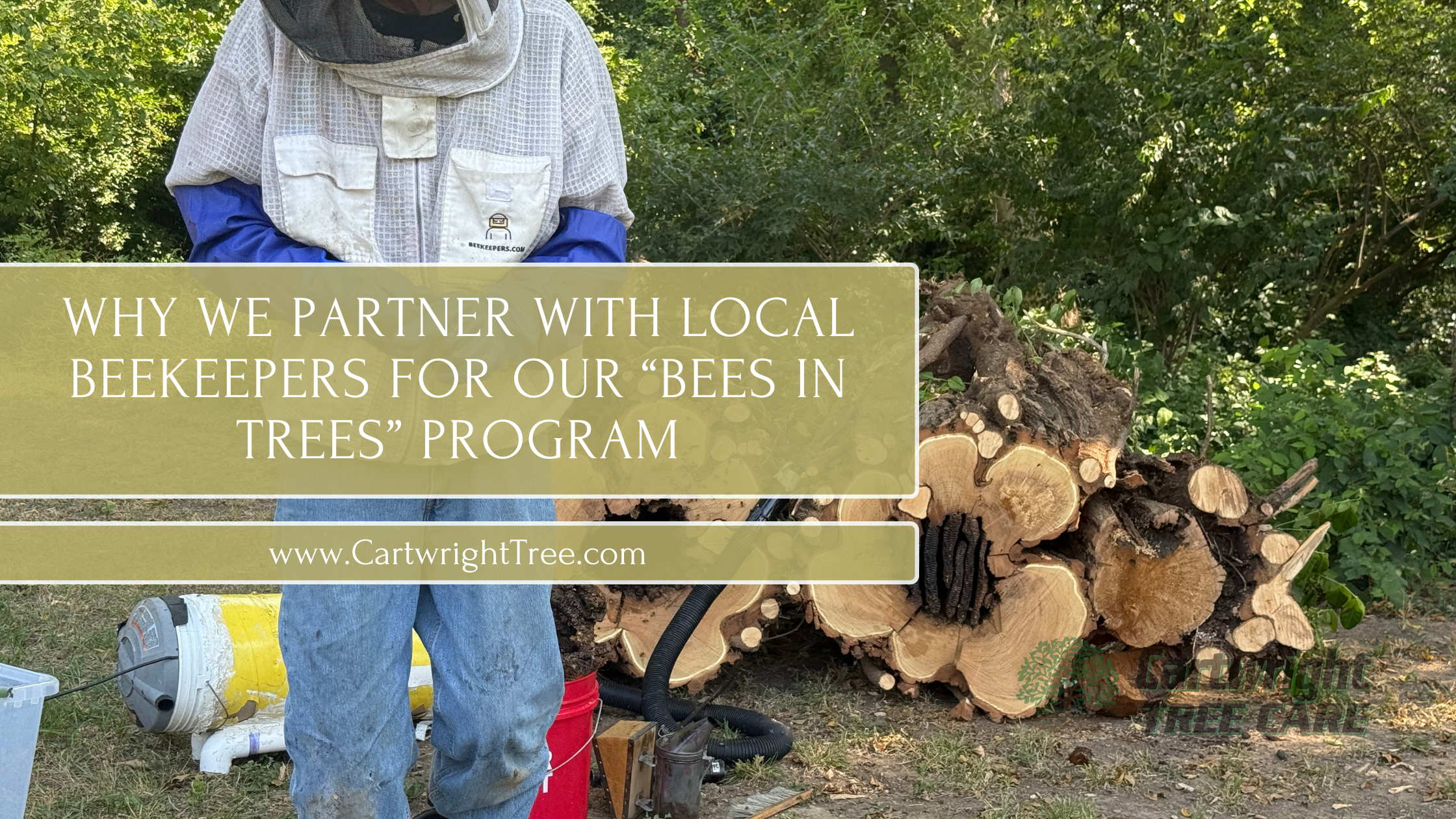 Why We Partner with Local Beekeepers for Our “Bees in Trees” Program